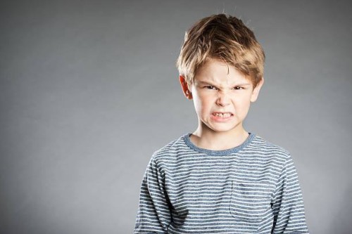 Seminaras Vaiko pyktis ir agresija. Kaip elgtis? - Psichologo ...